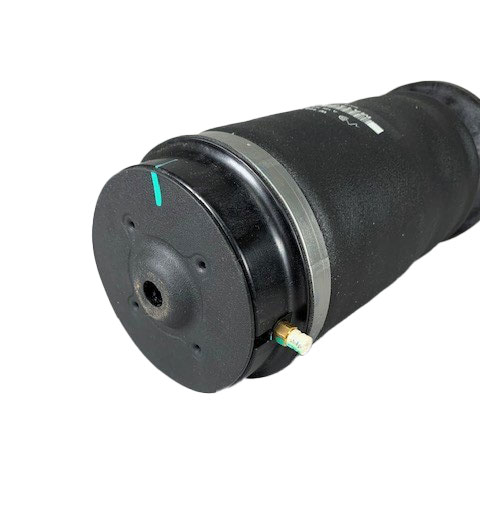 Luftfeder HINTEN LINKS UND RECHTS für M-klasse 164, M-Klasse 166 kaufen